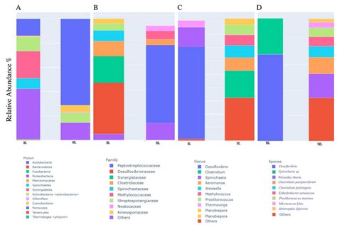 Comparative 16s Metabarcoding Of Nile Tilapia Gut Microbiota From The Northern Lakes Of Egypt