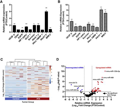 Molecular Profiling In Tumor Cells And Nodules From ID8 PTX Dosed Download Scientific Diagram
