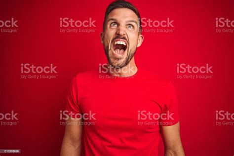 빨간 고립 된 배경 에 캐주얼 티셔츠를 입고 젊은 잘 생긴 남자는 분노와 분노 좌절과 분노 비명 분노와 공격적인 개념 언쟁에 대한 스톡 사진 및 기타 이미지 Istock