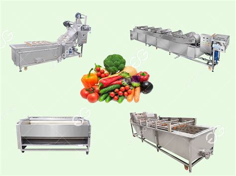 What Is Primary Vegetable Processing In Plant