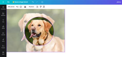 How To Circle Crop In Canva Pttrns