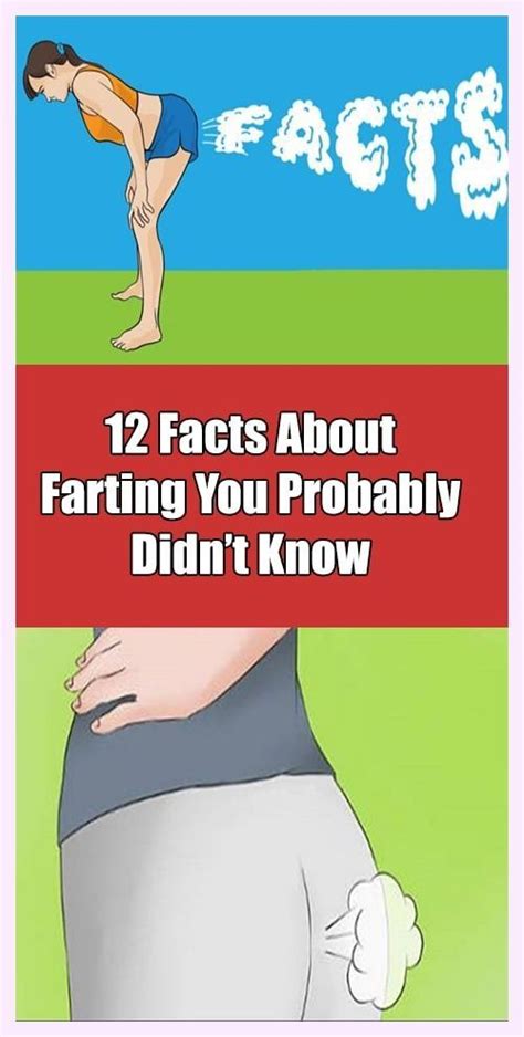 two cartoon characters with the words 12 fact about farting you