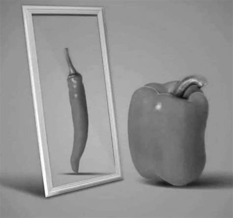 Интересно размислување на жена непозната тежина Јас сум кит а не сирена