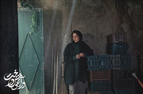 عکس های فیلم در آغوش درخت فیلم‌ نت نیوز