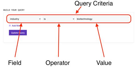 Building Elasticsearch Queries With The Query Builder Tutorial People Data Labs Blog