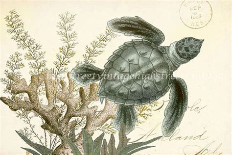Beautiful Sea Turtle Collage Print