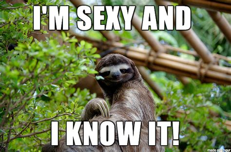 Sexy Sloth Meme On Imgur