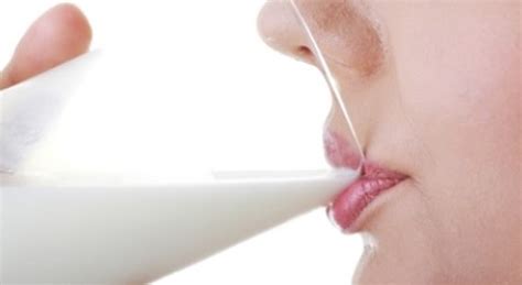 하루 두 잔 우리 우유 대체 우유는 하루에 얼마나 마셔야 좋을지 많은 분들이 궁금해하시죠 건강을 지키는 좋은 습관 하루 우유 2잔 마시기 하루에 물 2l를