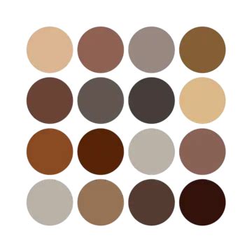 Vector Color Palette Set Design Template Multi Color Palette Colorful