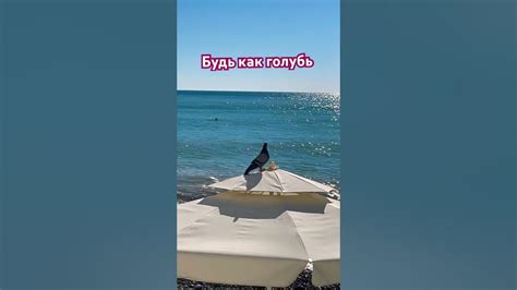 Лети на море Youtube