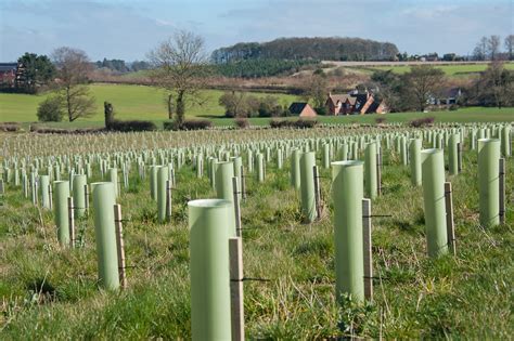 Commonwealth Forestry Association Cfa