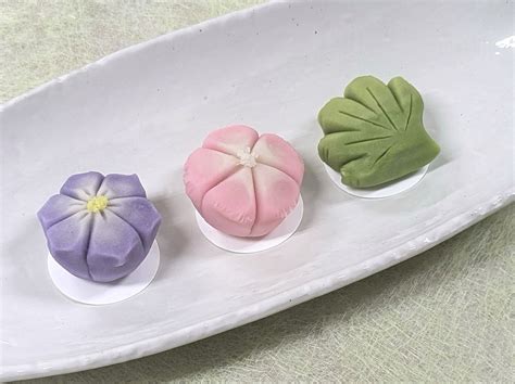 柴舟小出 今月の上生菓子のご案内 『鉄線 ~てっせん~』 中白小豆こし餡（画像 左） 硬い蔓が特徴的な鉄線の青紫の鮮やかな花を表現しました。 『石竹 ~せきちく~』 中白小豆餡（画像