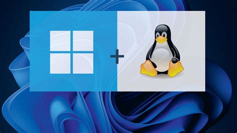 Plus Anleitung Linux Parallel Zu Windows Nutzen