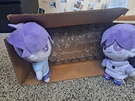 Mari Plush And Hero Plush Are Investigating The Package