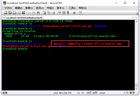 Centos安装mysql和配置初始密码 睡猪遇上狼 博客园