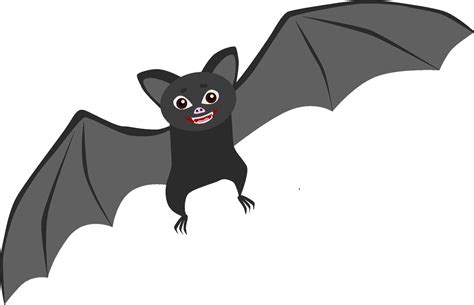 Bat Your City Safari