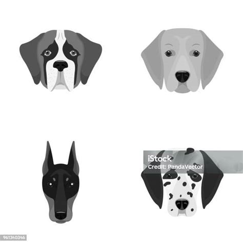 강아지의 다른 품종의 총구입니다 개 품종 세인트 버나드 골든 리트리버 Doberman 달마의 흑백 스타일 벡터 기호 재고 일러스트 웹에서 컬렉션 아이콘을 설정합니다 개에