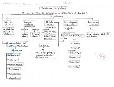 Mapa conceptual Sistema linfático Investiciencias