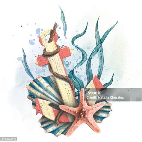 수채화 물감과 페인트의 배경에 조개 불가사리와 조류가있는 나무 앵커 수채화 그림입니다 바다의 심포니 컬렉션의 작곡 갑각류에 대한 스톡 벡터 아트 및 기타 이미지 Istock