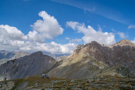 Grassette Bilder Durchsuchen 101 Archivfotos Vektorgrafiken Und