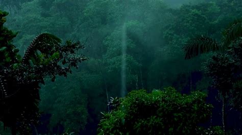 비와 폭풍우 치는 바다 소리 수면 공부 집중 백색소음 10시간 Youtube