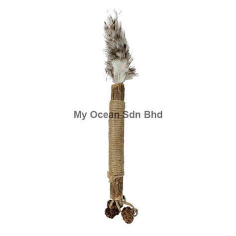 Polyganum Chinensis Stick C093 My Ocean Sdn Bhd