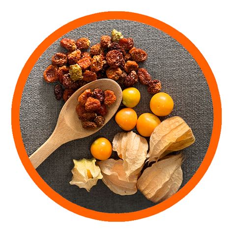 Uchuva Deshidratada 250 Gr La Nueztra