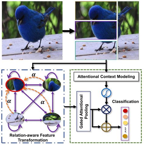 Our Sr Gnn Consists Of A Gnn Based Relation Aware Feature Download