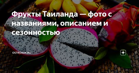 Фрукты Таиланда — фото с названиями описанием и сезонностью Островок
