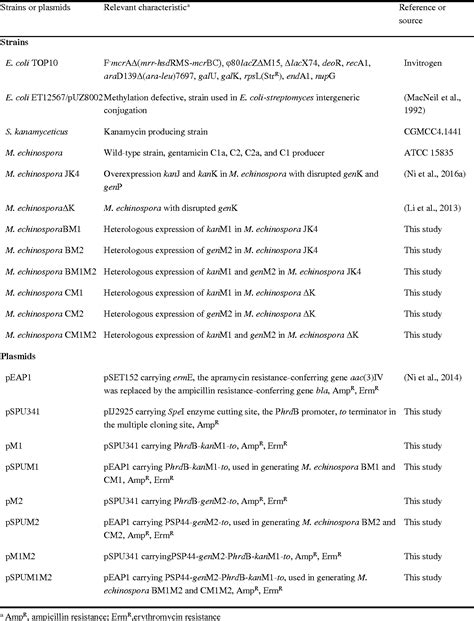 Table 1 From Improving Gentamicin B And Gentamicin C1a Production By Engineering The