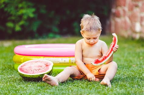 테마 여름 제철 음식 육즙 수박 베리 작은 재미 백인 소년 아이 2 년 뒤뜰 녹색 잔디 잔디와 먹는 조각 수박 손을 잡고 앉아 벌거 벗은 에 반바지 과 맨발 건강한 생활