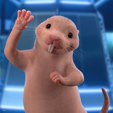 Nancy Cartwright Returns As Rufus In ‘kim Possible Animation Magazine