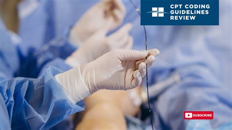 Cpt Coding Guidelines Review Endovascular Revascularization Of Lower Extremities