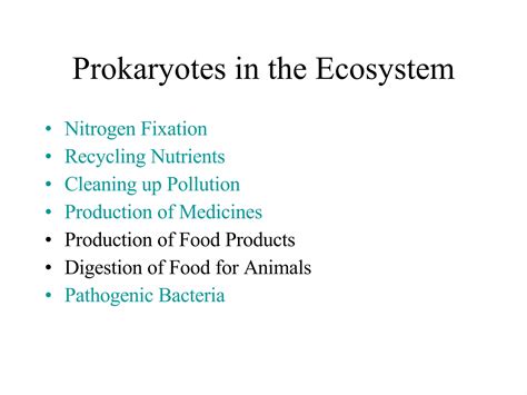 Prokaryote Classification Ppt