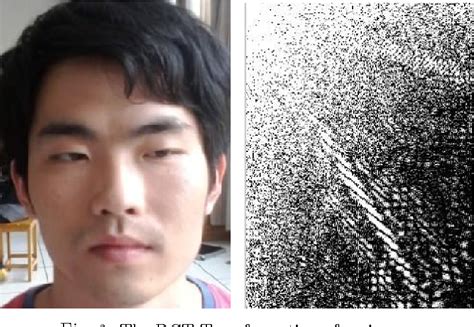 Figure 1 From Recaptured Image Detection Based On Dct Coefficients