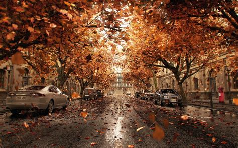 City Autumn Wallpapers Wallpaper Cave