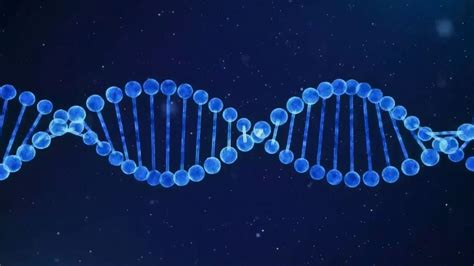 Arima Genomics Announces New Structural Variant Detection Products Ai Tech Park