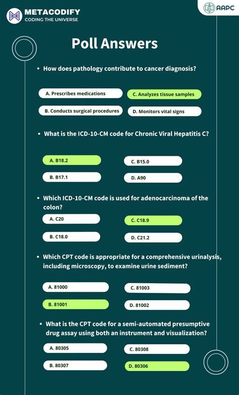 Metacodify On Linkedin Linkedinpoll Pollresults Metacodify