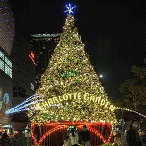잠실 가볼만한곳 롯데월드몰 크리스마스 트리 잠실 데이트 코스 네이버 블로그