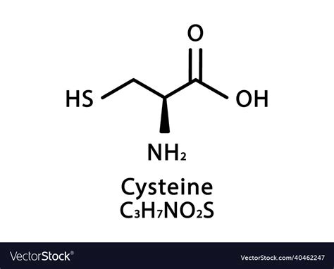 Cysteine Molecular Structure Skeletal Royalty Free Vector
