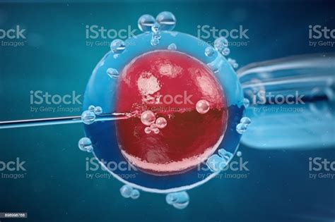 3d 그림에 생체 외 풍부 하 게 함을 계란 세포로 주사 정자 생식 치료 지원 바이오센서에 대한 스톡 사진 및 기타 이미지