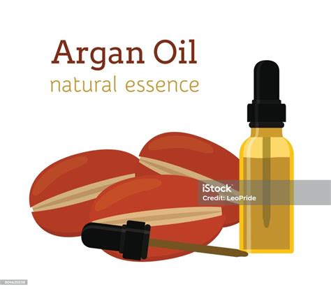 Argan 천연 오일입니다 에센셜 오일 아로마 테라피 화장품 스파 갈색에 대한 스톡 벡터 아트 및 기타 이미지 갈색 건강관리와 의술 건강한 식생활 Istock