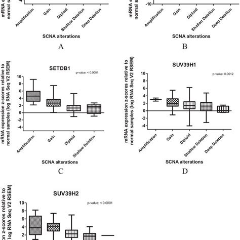 Analysis Of Correlation Between Scna And Mrna Expression Level Of