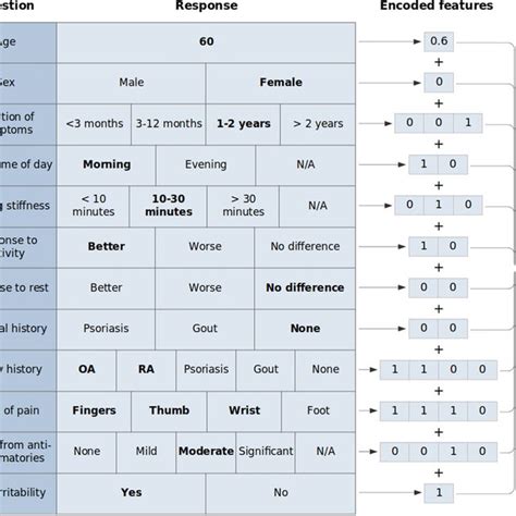 Example Survey Feature Extraction Using One Hot Encoding Of Categorical Download Scientific