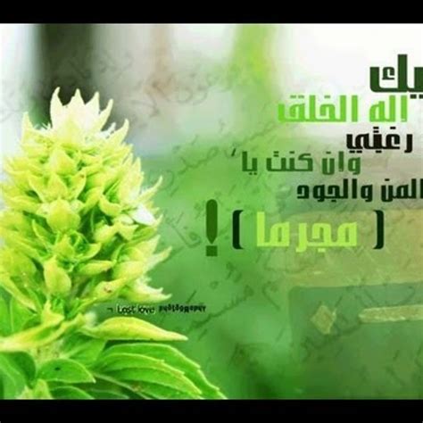Stream Dr Ahmed Elnahass Listen To روائع Playlist Online For Free On