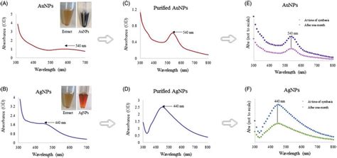 Visible And Uv Vis Spectra Of Aunps A And Agnps B The Purple And