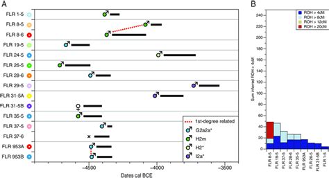 A Genetic Sex Y Chromosome Colored Symbols And Mitochondrial Download Scientific Diagram