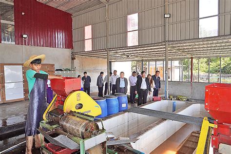 ပအိုဝ်းကိုယ်ပိုင် အုပ်ချုပ်ခွင့်ရဒေသရှိ ကော်ဖီစိုက်ပျိုး ထုတ်လုပ်သည့် လုပ်ငန်းရှင်များ၊ တောင်သူမ