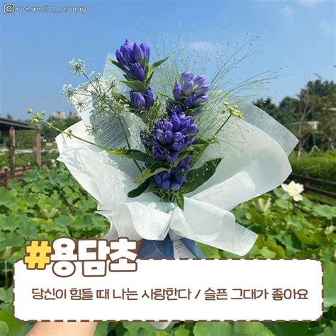 사랑하는 사람에게 선물하기 좋은 꽃말 좋은 꽃다발 모음집 💐 남녀생활백서
