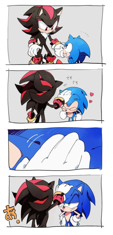 Best Sonadow Images On Pinterest Hedgehogs Hedgehog And Pygmy Hedgehog
